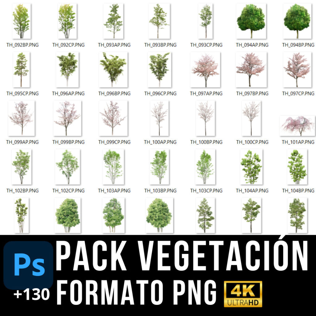 DESCARGA PACK VEGETACIÓN 4K +130 MODELOS EN FORMATO PNG - ARQUITECTURA ...